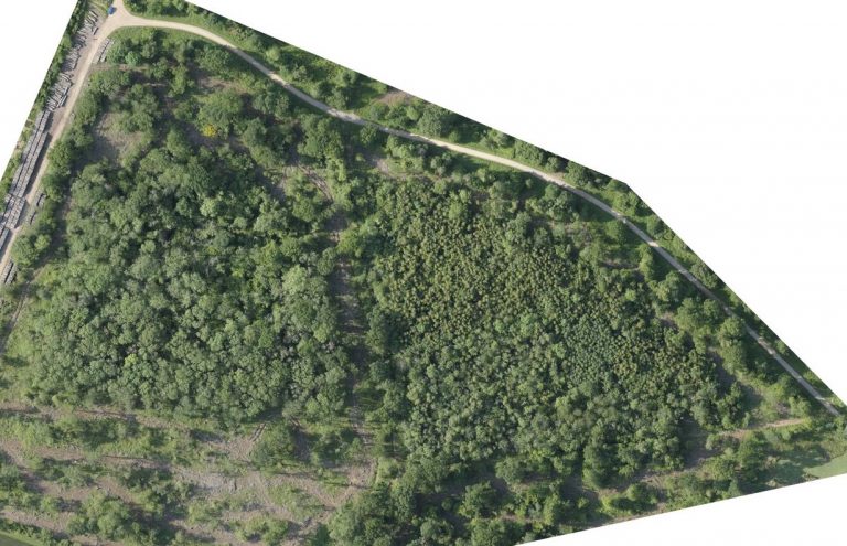 Optimising Overlap in Drone Mapping: A Comprehensive Guide for ...